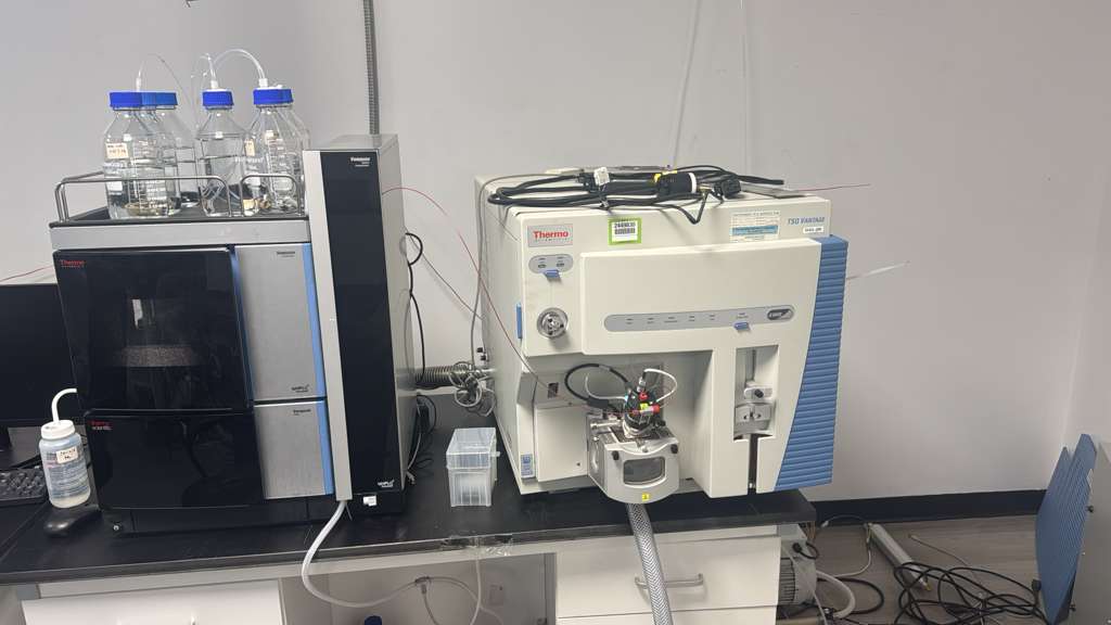 Thermo Fisher TSQ Vantage with Vanquish UHPLC